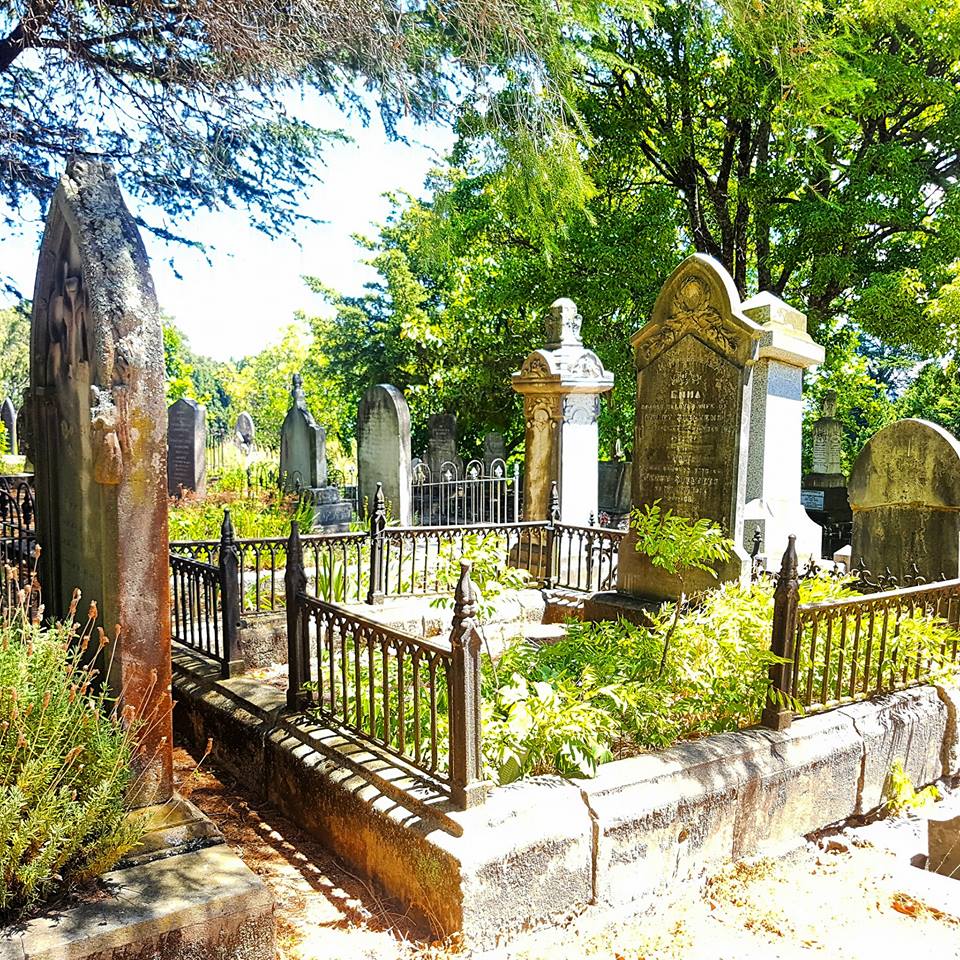Old Napier Cemetery | Paranormal NZ