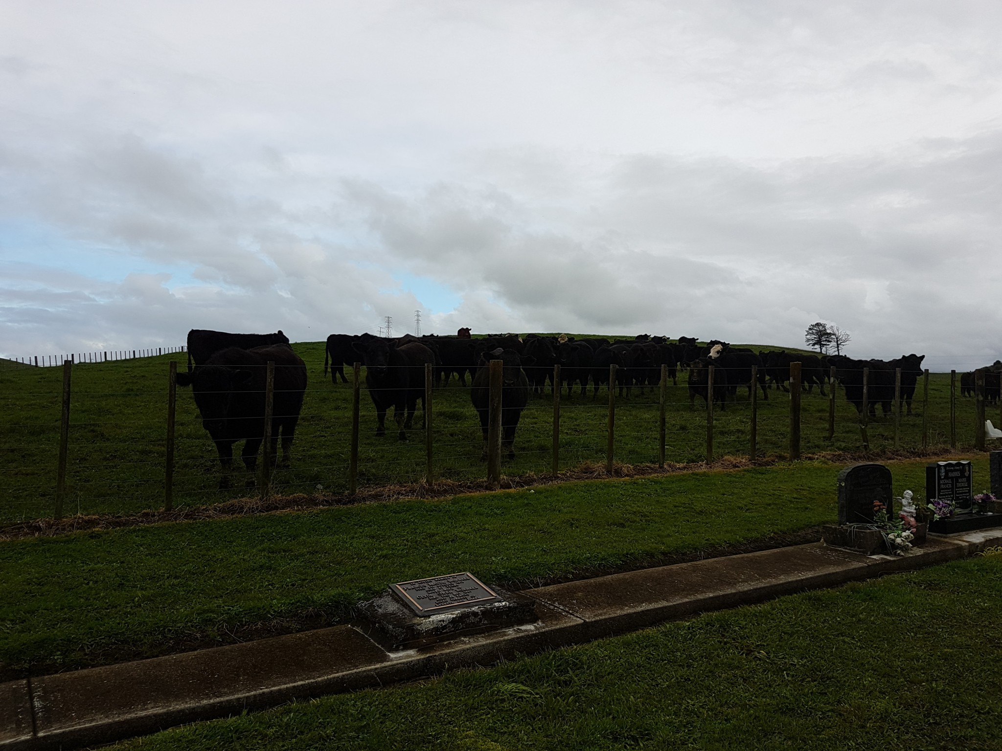 Mercer Cemetery - Waikato | Paranormal NZ