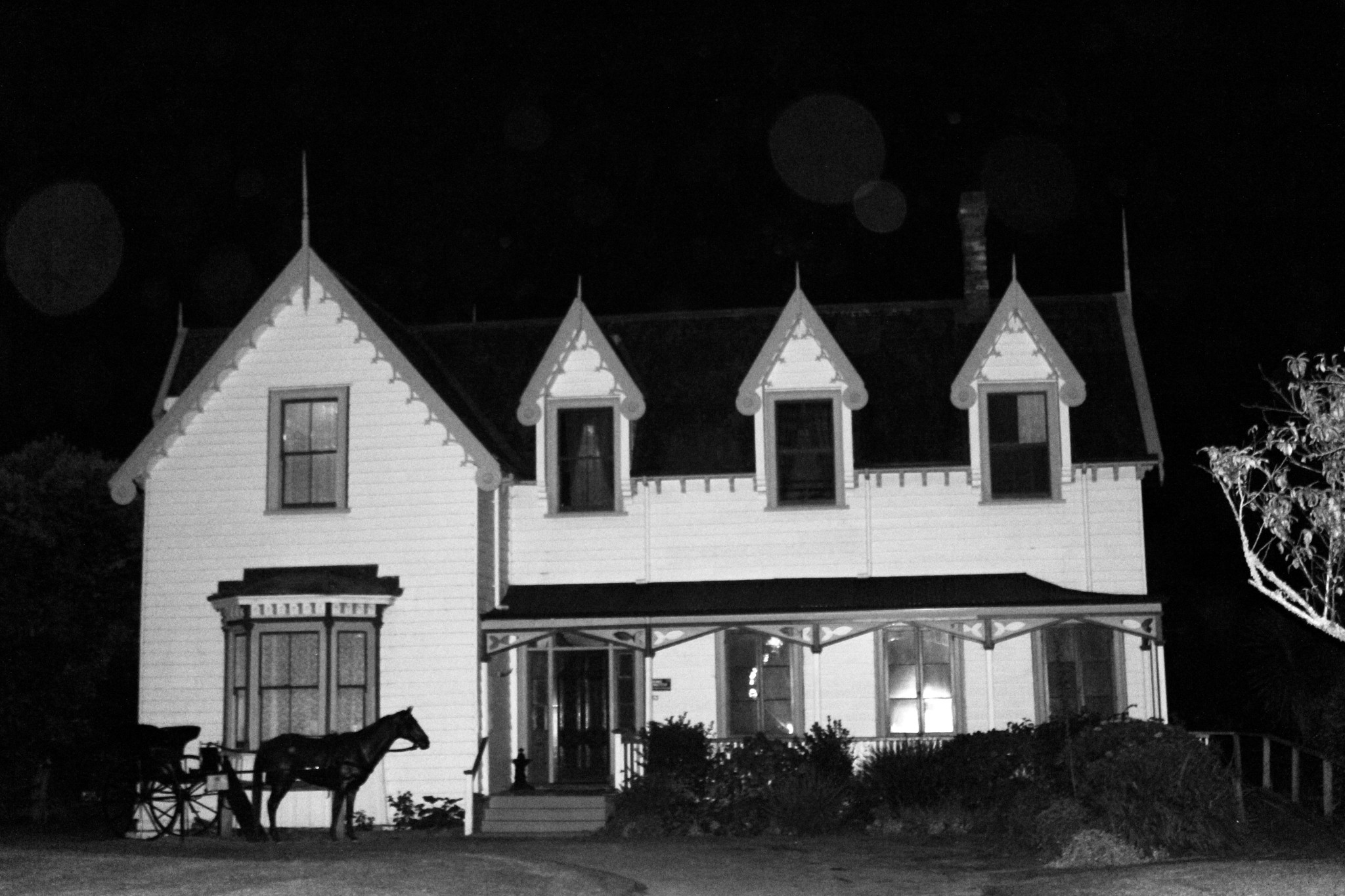 Project Puhinui - Session Five | Paranormal NZ