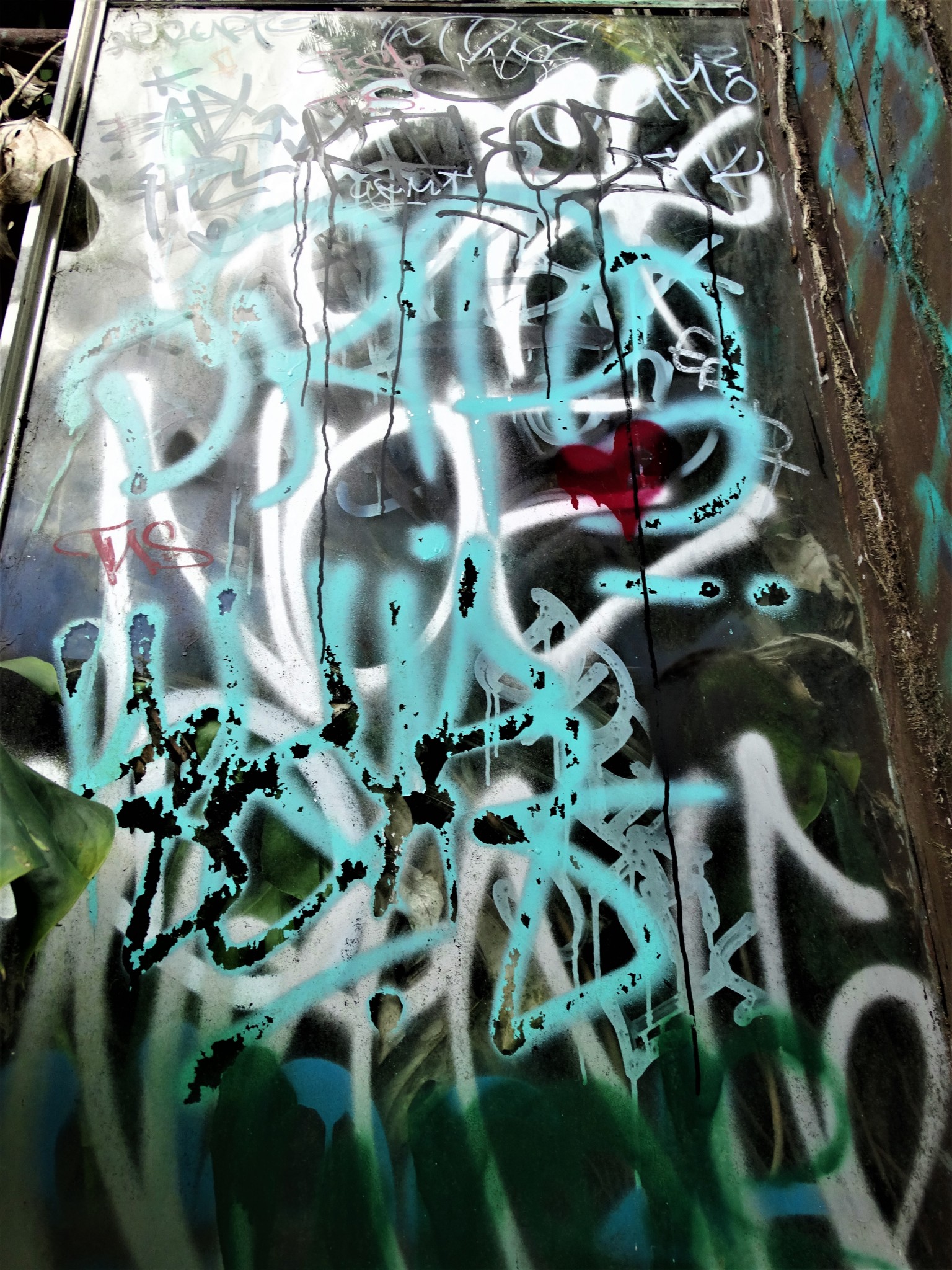 1950s Graffiti magnet - Auckland Central | Paranormal NZ