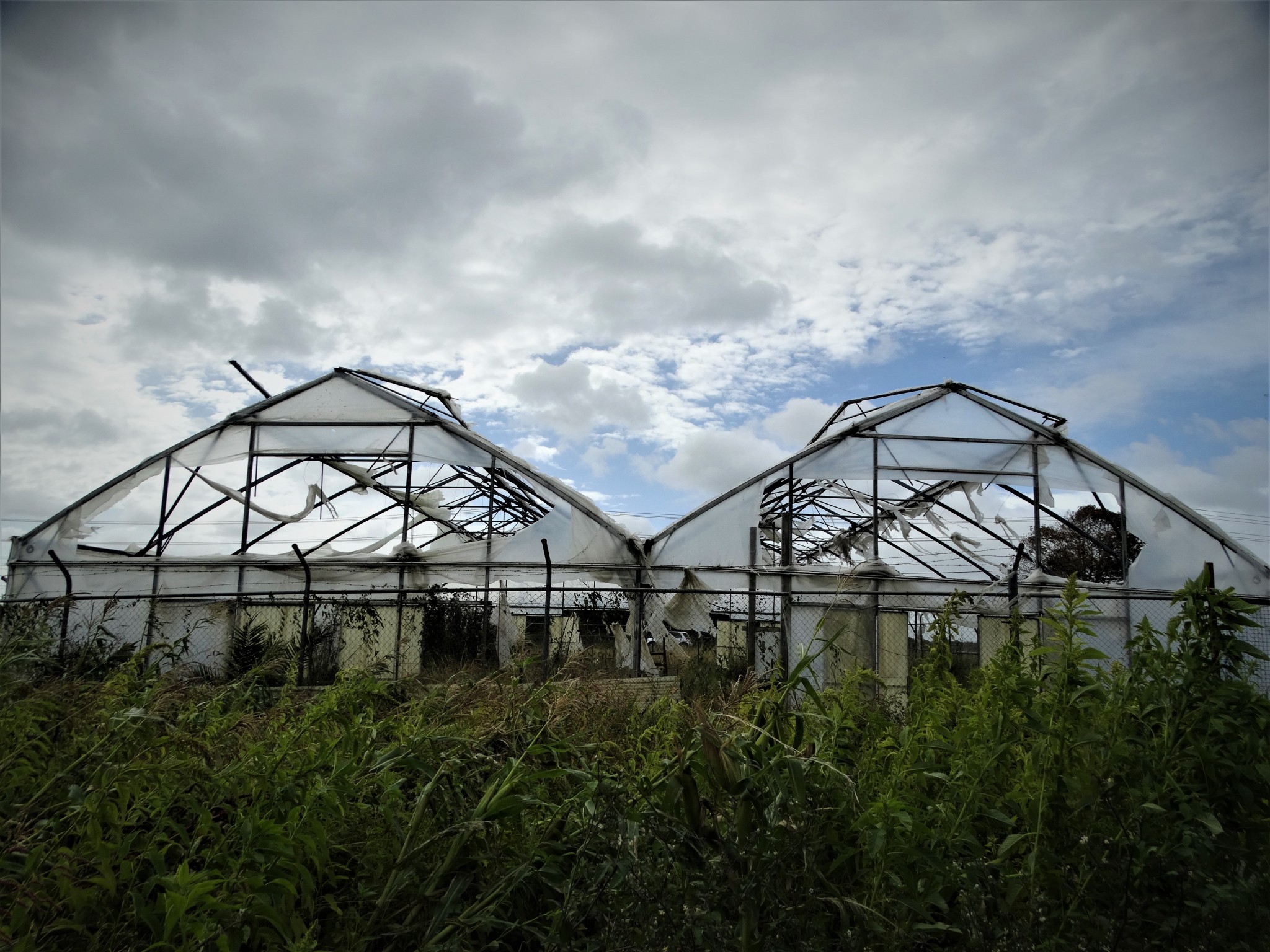 Orchard Shack - West Auckland | Paranormal NZ