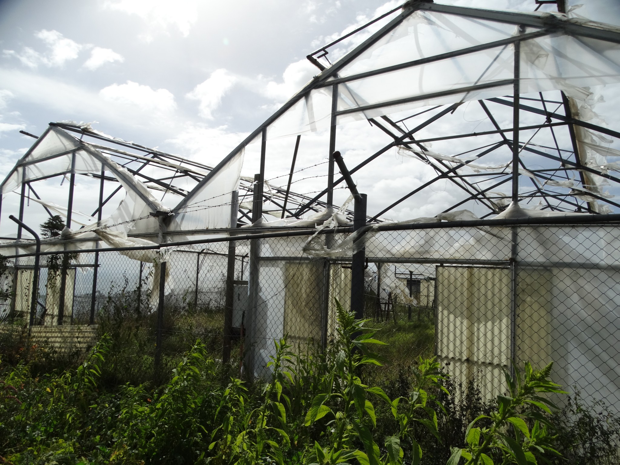 Orchard Shack - West Auckland | Paranormal NZ