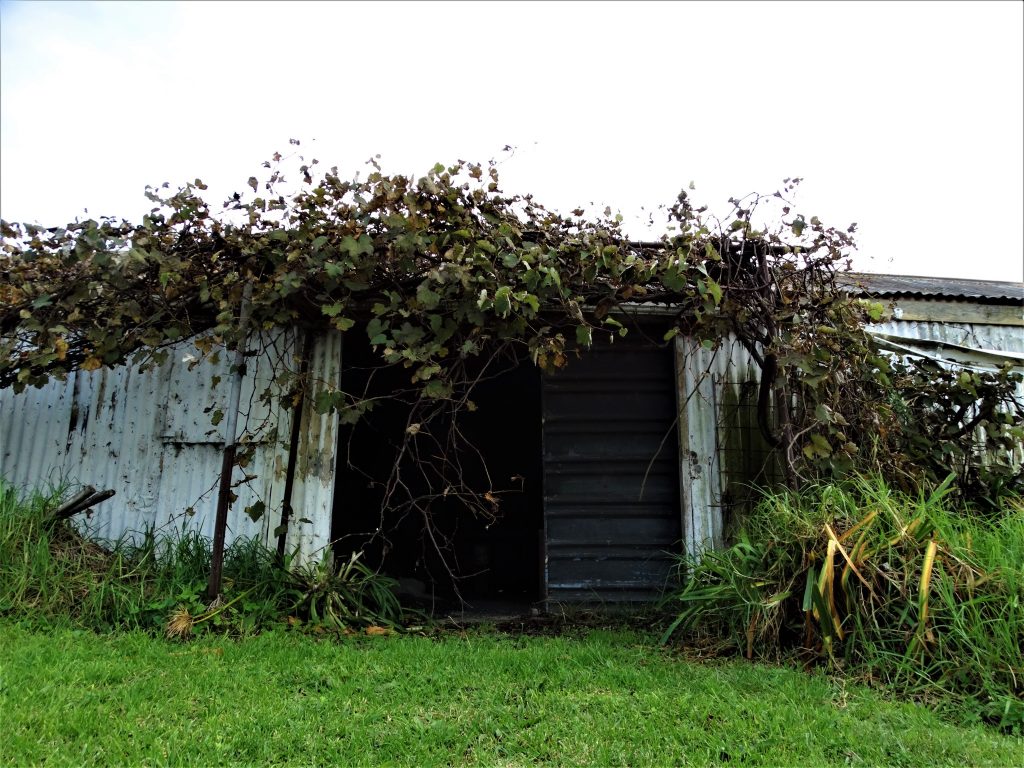 Rural Roadside shack | Paranormal NZ
