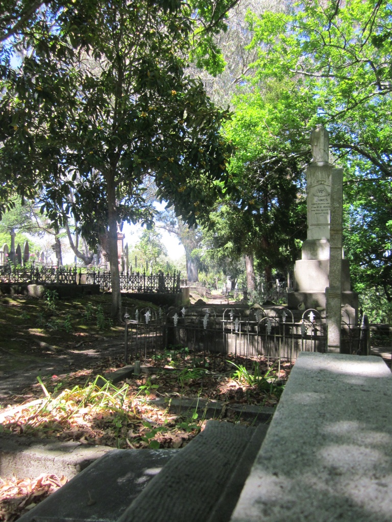 Old Napier Cemetery | Paranormal NZ